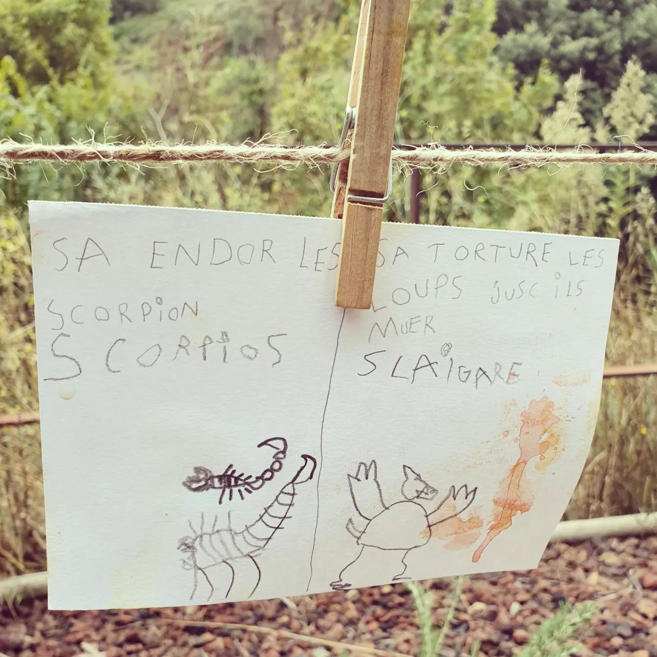 Hanni Angermann chez La Spanda – 3C: Calce Culture Contemporaine